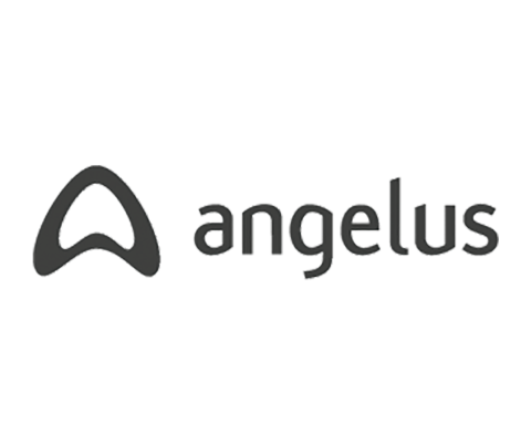 Angelus Dental Products – American Dental Accessories, Inc.