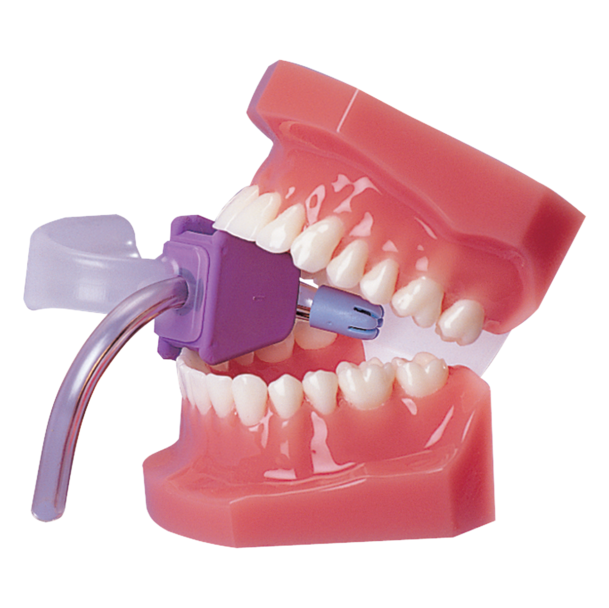 Wraparound Mouth Prop With SE Tip | Specialized Care Co. - American ...