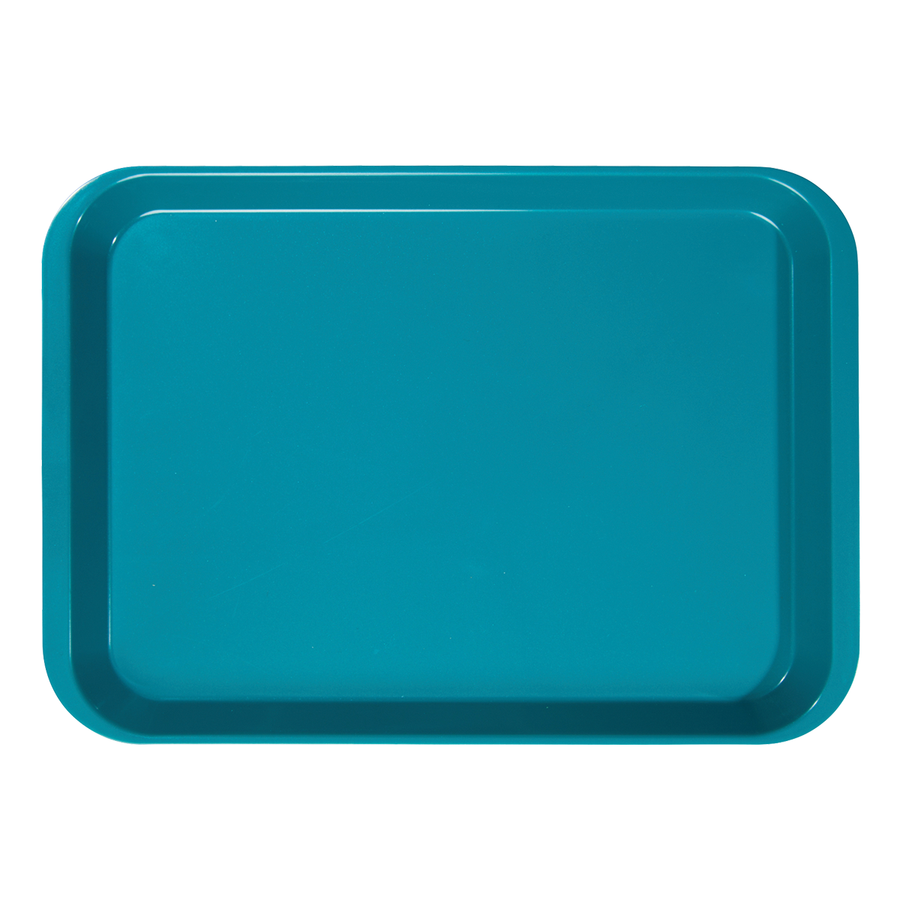 Zirc Flat Set-Up Tray - American Dental Accessories, Inc.