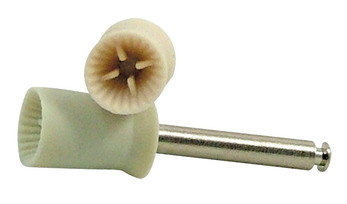 Latch-Type Prophy Cups - American Dental Accessories, Inc.