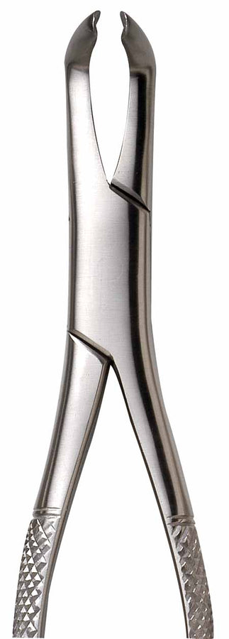 Extracting Forceps #222 Lower - American Dental Accessories, Inc.