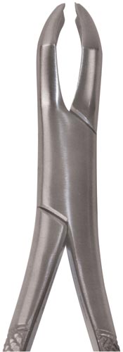 Extracting Forceps #53R Lower - American Dental Accessories, Inc.