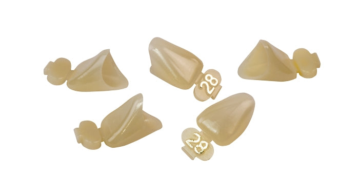 Dental Crown Box Dental Polycarbonate Temporary Crowns - #200 Upper ...